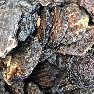 Raw Pet Food Ontario - Shop for High Quality Protein Blends